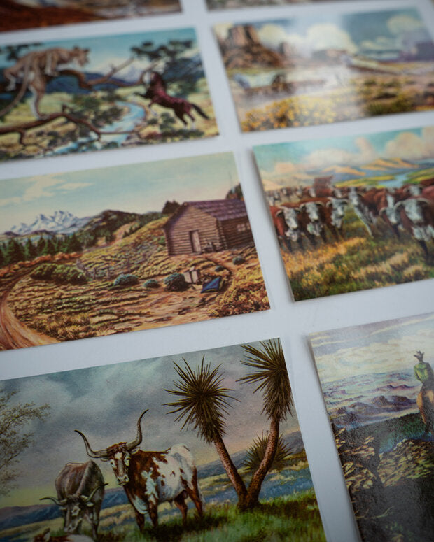 Larsen Postcards - Landscape Bundle | Antique Archaeology