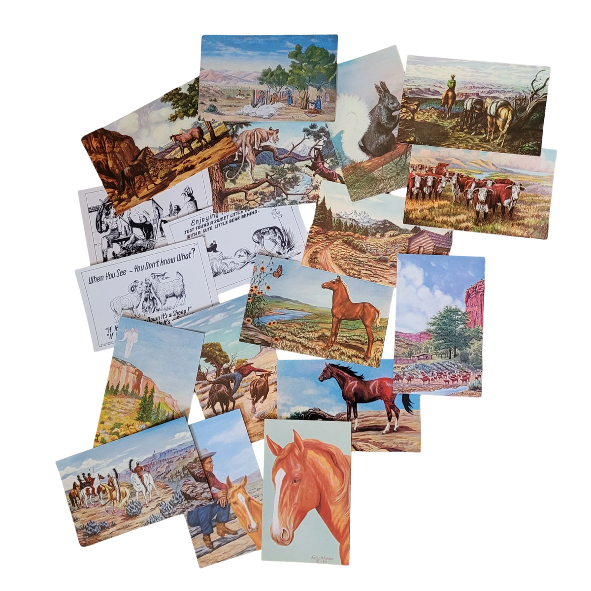 Larsen Postcards Collection | Antique Archaeology